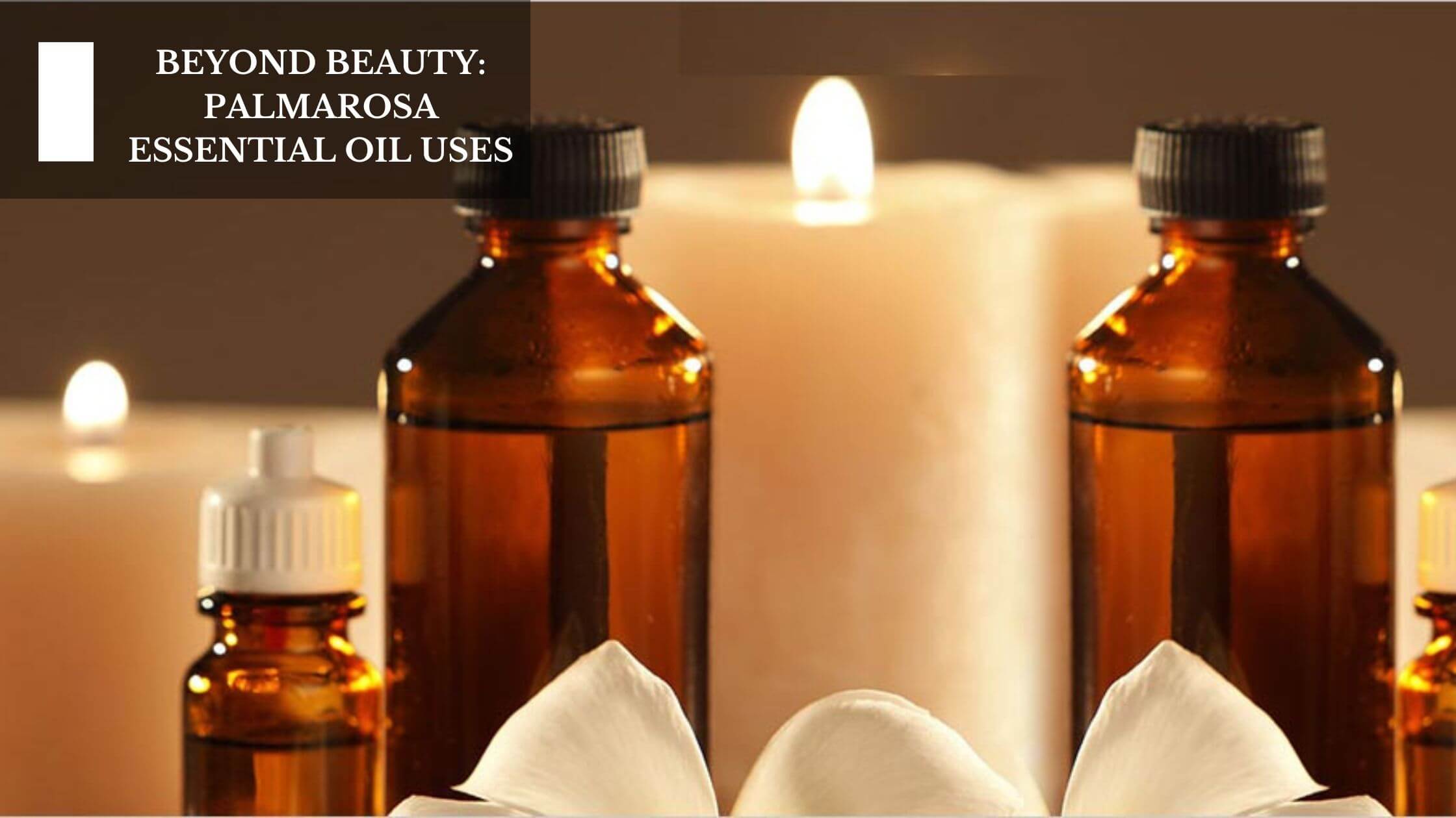 Beyond Beauty: Palmarosa Essential Oil Uses – Moksha Lifestyle Products