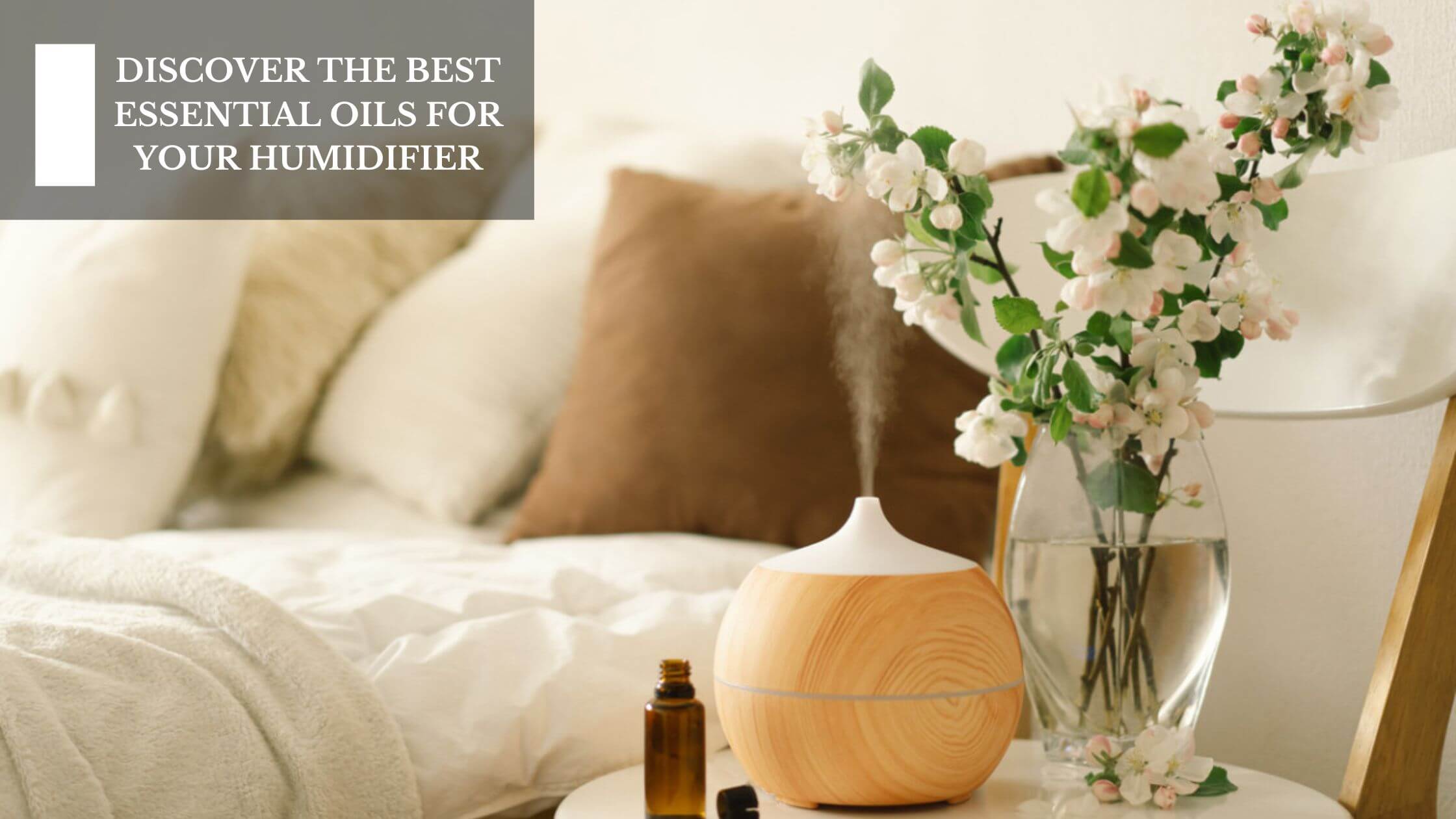 Discover The Best Essential Oils For Your Humidifier – Moksha Lifestyle ...