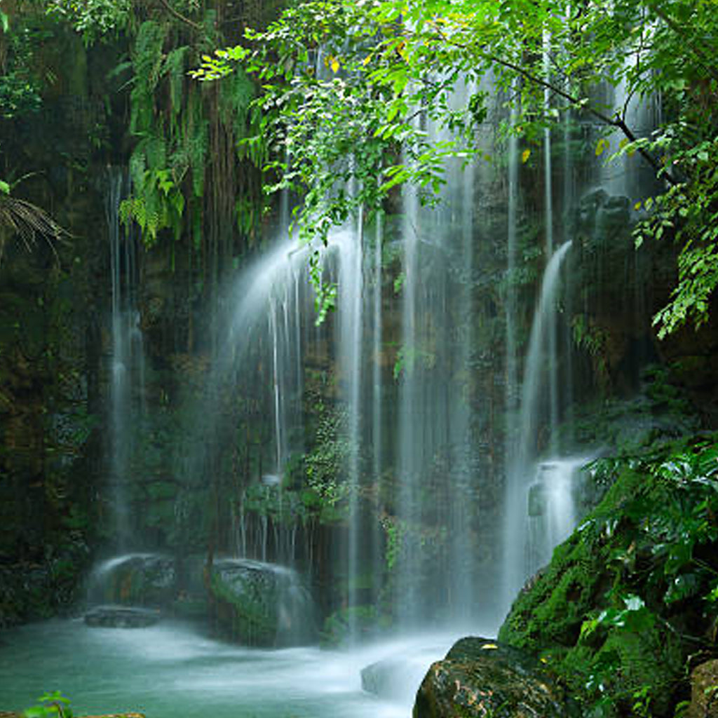 Buy Jungle Waterfall Fragrance Oil Online From Trusted Manufacturers ...
