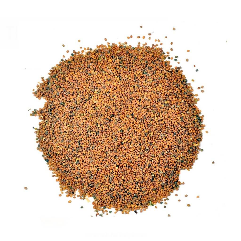 Buy Pure Organic Cold Pressed Taramira (Arugula) Oil Online at Best ...