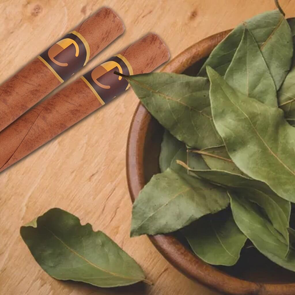 Tobacco & Bay Leaf Fragrance Oil for Soaps, Candles, Diffuser ...